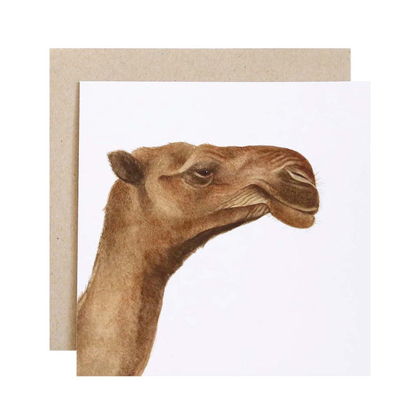 Clarence the Camel Greeting Card (Pack of 6) - For Me By Dee