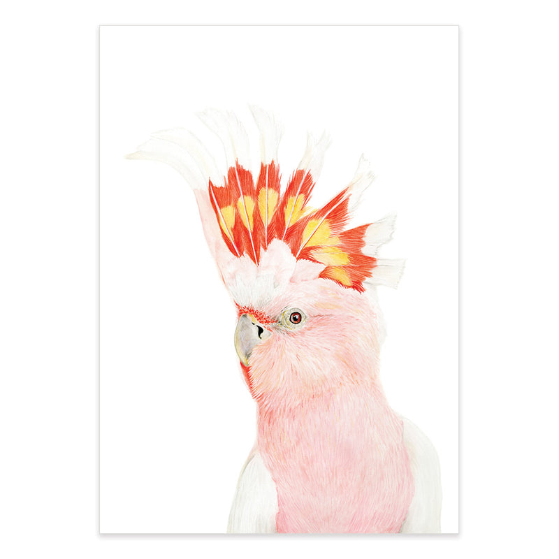 Mitch the Major Mitchell Print - For Me By Dee