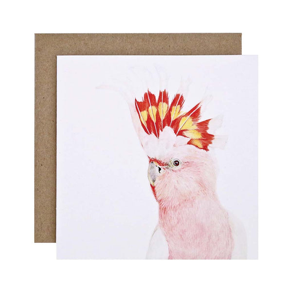 Mitch the Major Mitchell Cockatoo Greeting Card - For Me By Dee